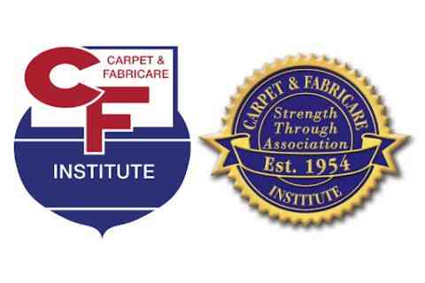 How to Choose the Right Carpet Cleaning Professional: What to Look For ...
